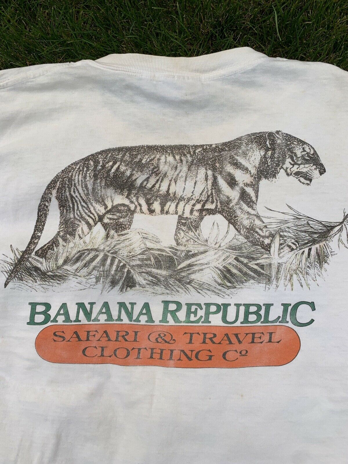 Transitional Pieces – Abandoned Republic